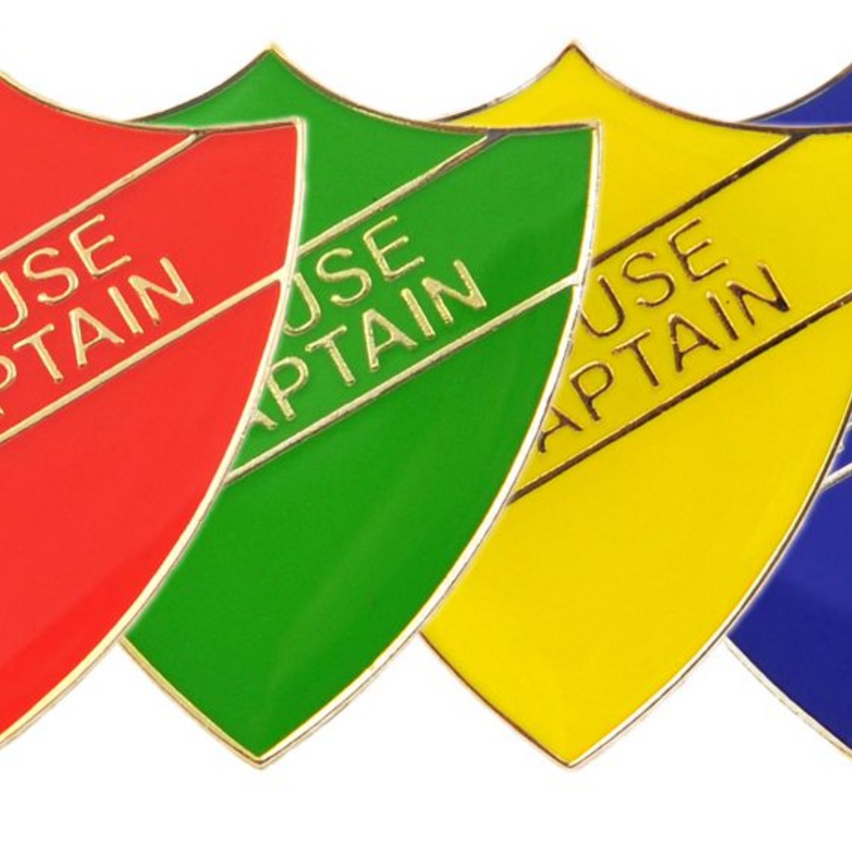 St Mary's Church of England School - House Captains